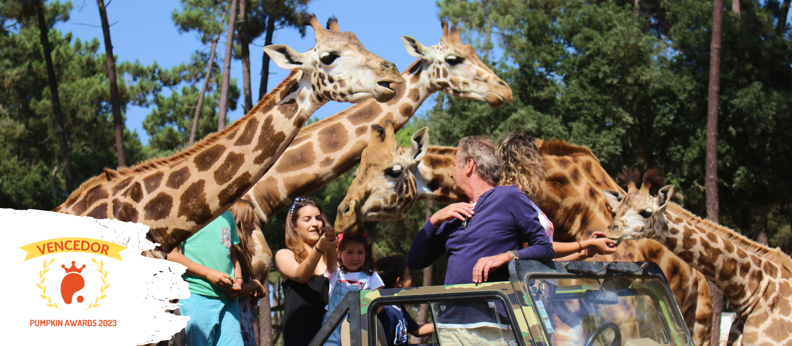 Badoca Safari Park