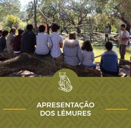 Badoca Safari Park