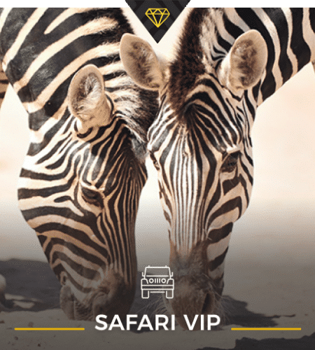 Badoca Safari Park