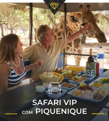 Badoca Safari Park
